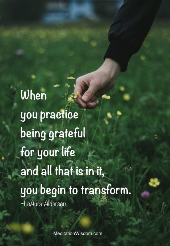 Be Grateful for the Positive Trend to Gratitude | Meditation Wisdom