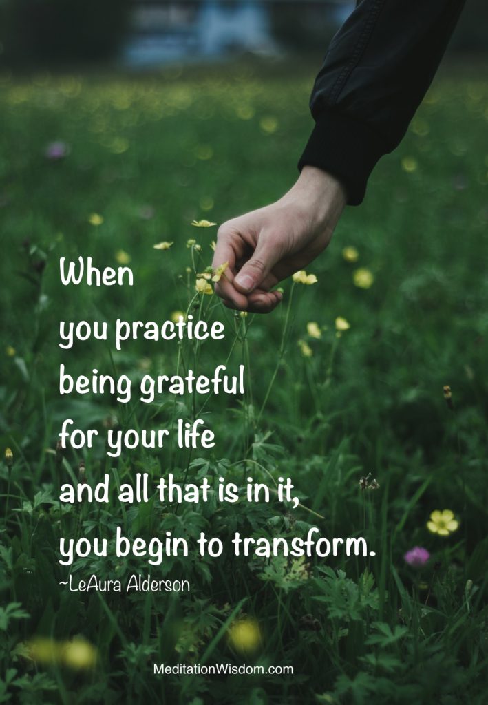 Be Grateful for the Positive Trend to Gratitude | Meditation Wisdom